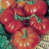 Tomato: Super Marmande - seeds – Thyme Again Gardens